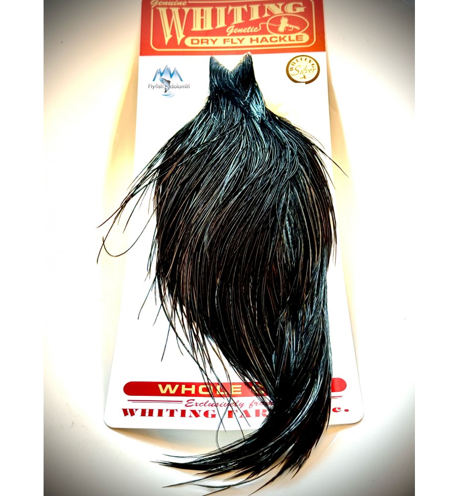 Whiting Silver Cape Black - WhitingSilverBlack | Fly fishing equipment